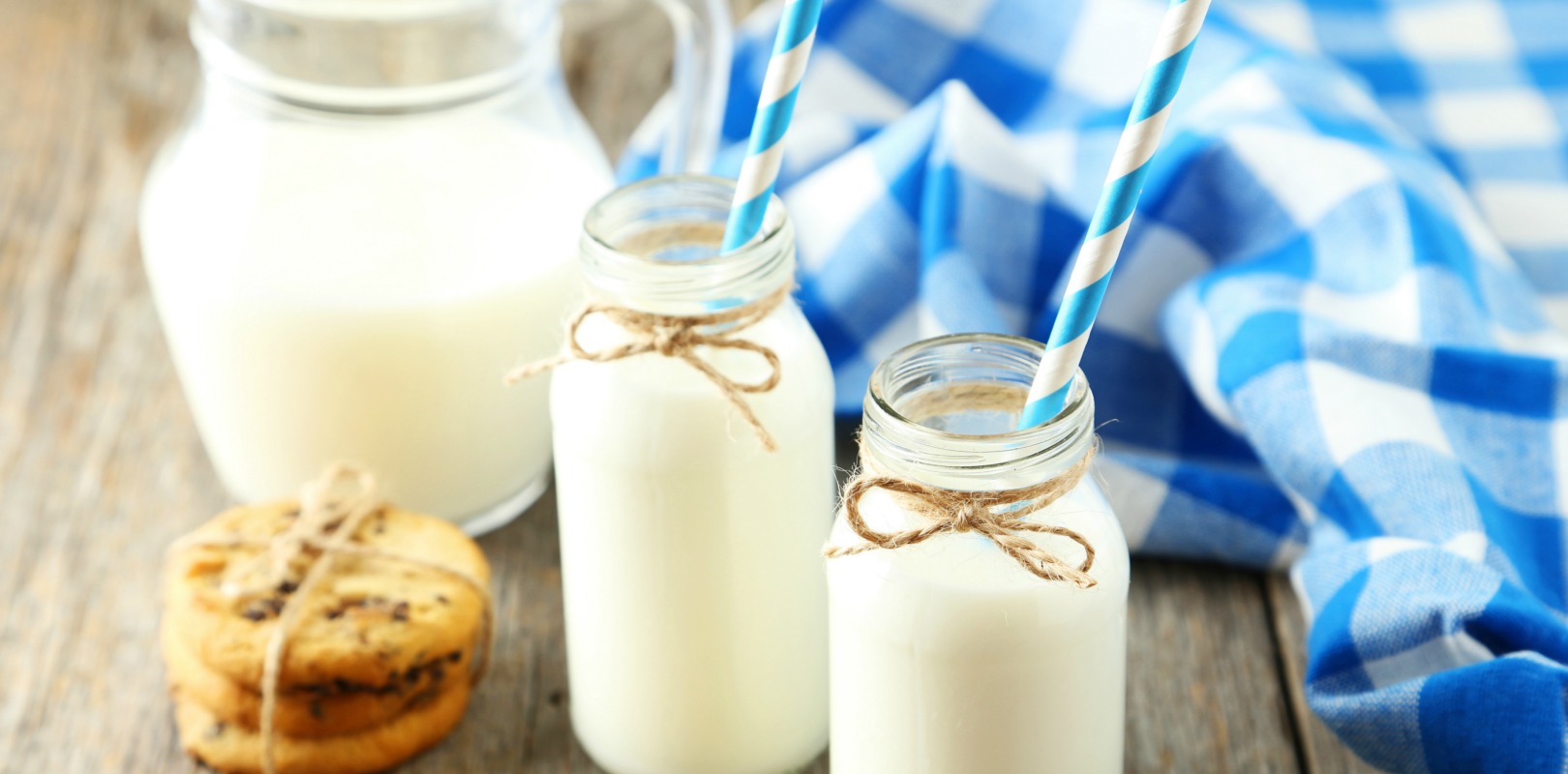 Lage consumptie van melkproducten bij de Belgen! | Dilea Zero Lactose