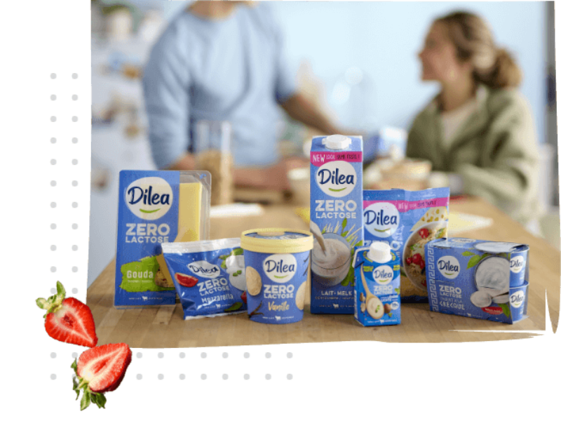 Home | Dilea Zero Lactose
